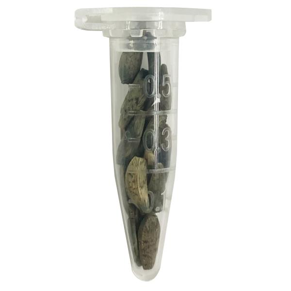 手軽に作れるやわらかいサラダゴボウ！根長35〜45cm程度の短根太ゴボウで、播種後100日程度で収穫できる。白肌で鮮度がよく、香り・食味ともに優れ、ゴボウ一般の料理はもちろん、サラダにも適する。作りやすく手軽に栽培ができる。内容量：20粒有...