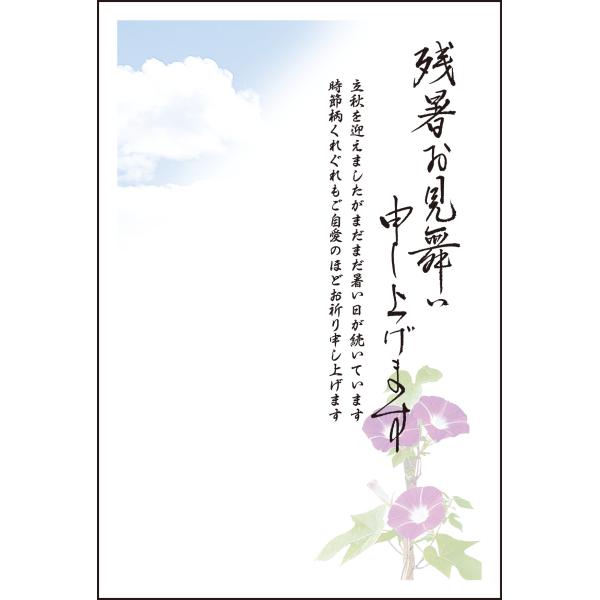 【発売日：2023年06月01日】残暑見舞い ハガキ 残暑はがき 夏 挨拶状 残暑 葉書 はがき 朝顔 アサガオ あさがお シンプル 大人っぽい おしゃれ オシャレ