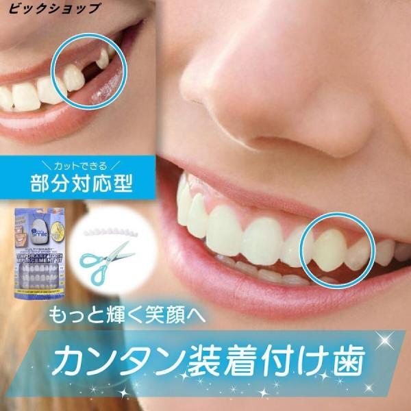 テンポラリー トゥースキット 部分対応 抜け歯用 抜け歯 欠け歯 上歯 下歯 男女兼用 疑似入れ歯 付け歯 審美歯 義歯 つけ歯 仮歯 審美