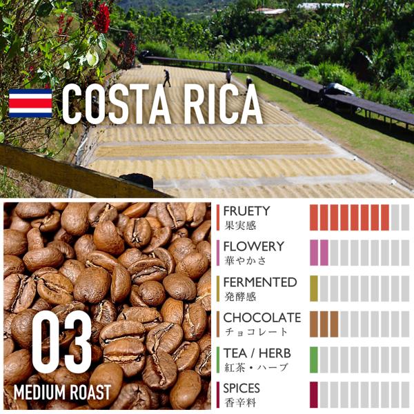 コスタリカのラ・カンデリージャ農園産、カトゥーラ種のフリーウォッシュド精製豆。生豆の時点から品質の高さを感じさせる豆です。リンゴのような風味と酸味が特徴的で、焙煎直後から渋みが少なく熟度の高さを感じさせる豆です。甘さはやや控えめでウォッシュ...
