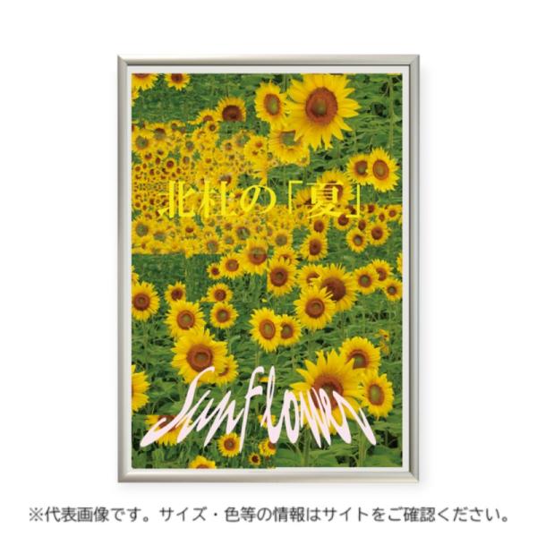 前面四方開閉式で、裏面四方ストッパー付です。※屋内仕様です。 。A2サイズ、598×424mm、[有効表示面]40.8×58.2cm