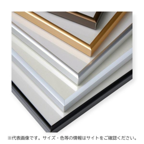存在感のあるデザインです。連結用パーツでパネル同士の組み合わせが可能。アイデア次第でどこまでも広がる多彩なディスプレイが実現します。 。B2サイズ、732×519mm、[有効表示面]50.1×71.4cm