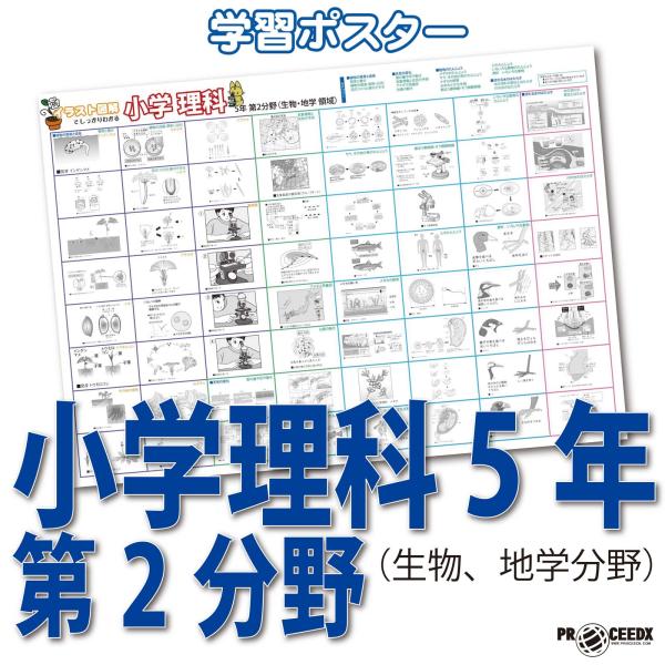 □４つ折りで送付します　　0962小学理科　５年 第2分野（生物、地学分野）□　A2（420× 594mm）　図解ポスター小学生の理科離れが進んでいると言われています　　文章では理解がむつかしいものでも　イラストなら一目瞭然　すぐ理解できま...