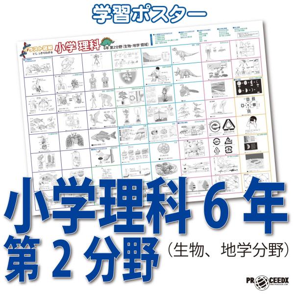 0964小学理科　6年 第2分野（生物、地学分野）□　A2（420× 594mm）　図解ポスター小学生の理科離れが進んでいると言われています　　文章では理解がむつかしいものでもイラストなら一目瞭然　すぐ理解できます文科省指導要領に沿った内容...