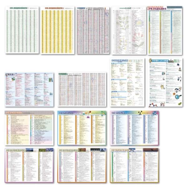 proceedx学習ポスター学年別 中1年 15枚セット下記の商品がすべて、セットされています　中学、高校習得必須漢字表1 中学、高校習得必須漢字表2 高校入試によくでる　ことわざ集 中学英文法1 中学英単語 中学英単語2 中学理科公式法則...
