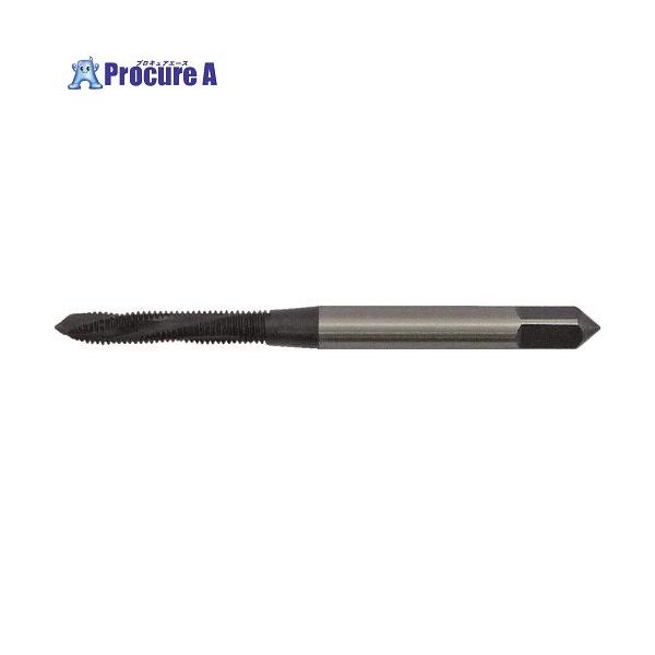 ●精度：H2●呼び寸法：M3●ピッチ(mm)：0.5●ねじ長さ(mm)：18●全長(mm)：46●シャンク径(mm)：4●シャンク四角部(mm)：3.2●下穴径(mm)：2.5●食い付山数：5山●加工ねじ：メートルねじ●表面処理：ホモ処理