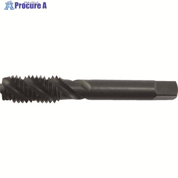 ●精度：H3●呼び寸法：M8.0●ピッチ(mm)：1.25●ねじ長さ(mm)：22●全長(mm)：70●シャンク径(mm)：6.2●シャンク四角部(mm)：5●下穴径(mm)：6.8●食い付山数：2.5山●加工ねじ：メートルねじ●表面処理：...