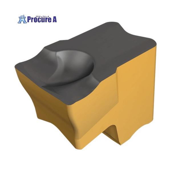 【送料都度見積】●適合被削材：PMKHS●コーナ半径RE(mm)：0.2●コーティング：TiAlN+AlTiN+TiN