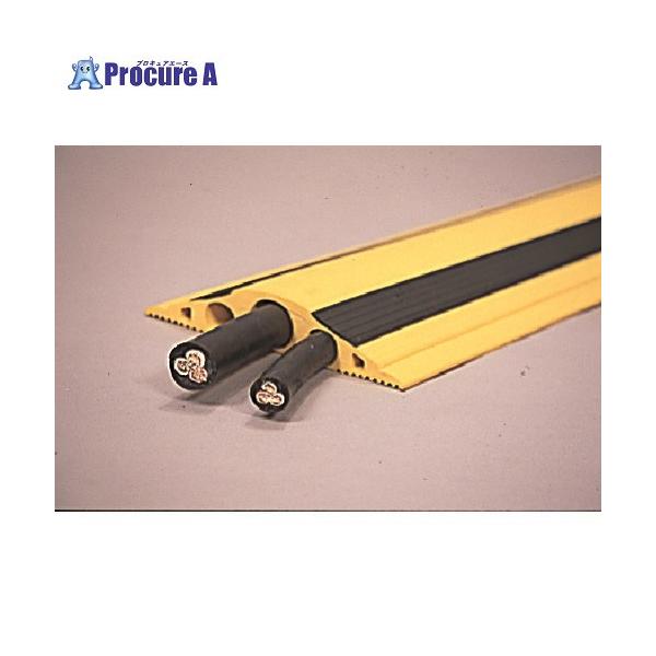 【代引決済不可】