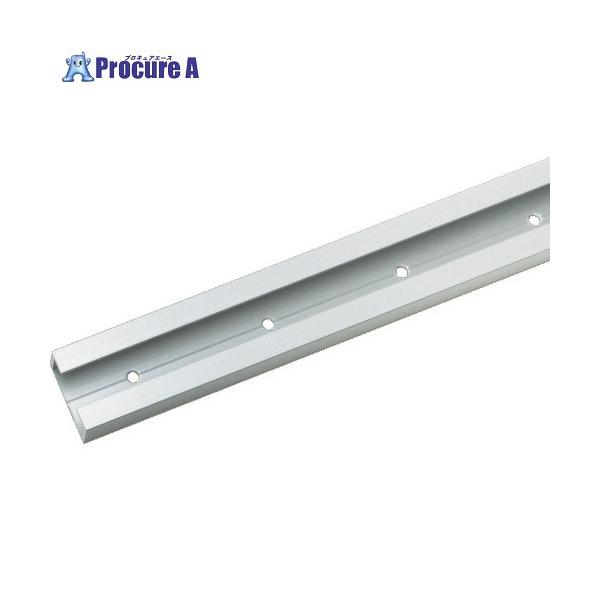 ●幅(mm)：30●長さ(mm)：400●高さ(mm)：18.3●水平静定格荷重(N/kgf)：30