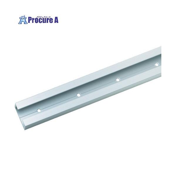 ※車上渡し ●幅(mm)：30●長さ(mm)：2000●高さ(mm)：18.3●水平静定格荷重(N/kgf)：30