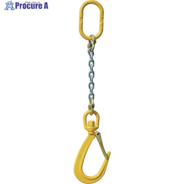 ●基本使用荷重(t)：3●チェーン線径(mm)：10●有効長l(m)：0.9●タイプ：スイベルファンドリーフック●マスターリンク寸法(mm)a：17●マスターリンク寸法(mm)b：140●寸法(mm)A：17●寸法(mm)B：140●寸法(...