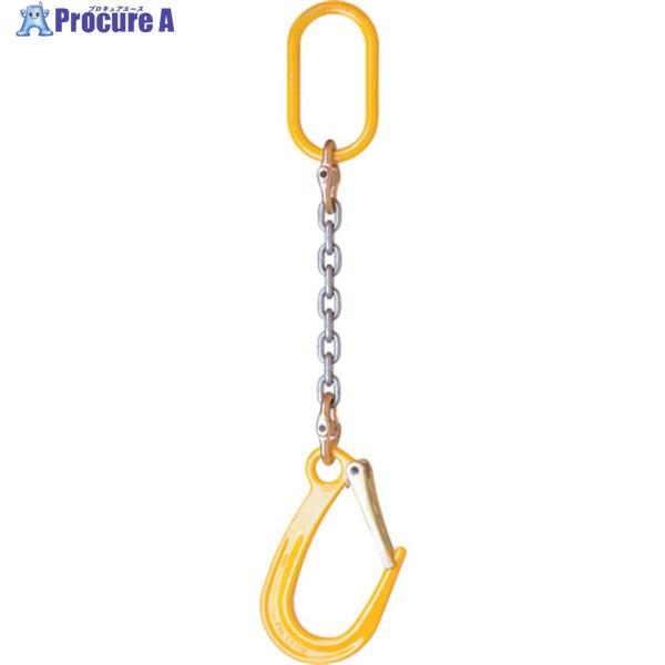 ●基本使用荷重(t)：1.5●チェーン線径(mm)：7.1●有効長l(m)：1●タイプ：ファンドリーフック●寸法(mm)A：14●寸法(mm)B：127●寸法(mm)C：63●使用荷重(t)：1.5