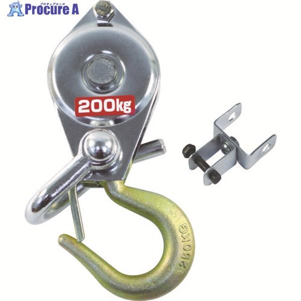 ●最大吊上荷重(t)：0.2●使用荷重(kg)：200●適合機種：ECW100