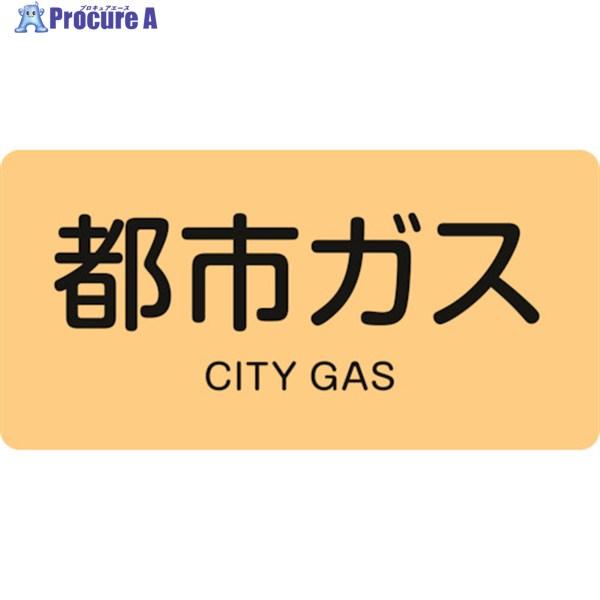 ●縦(mm)：60●横(mm)：120●厚さ(mm)：0.1●表示内容：都市ガス/CITY GAS●色：うすい黄(2.5Y 8/6)●取付仕様：貼付タイプ●色：うすい黄(2.5Y 8/6)