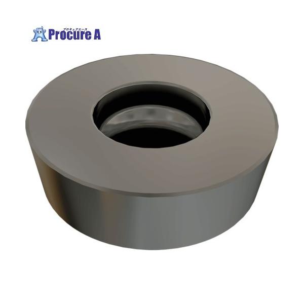 【送料都度見積】