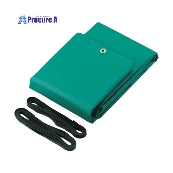 ●色：グリーン●幅(m)：2.1●長さ(m)：3.1●厚さ(mm)：0.47●ハトメ数(個)：24●ハトメピッチ(cm)：41×44●耐久期間：約2〜3年●引張強度：縦1300N/5センチ、横1420N/5センチ●適合車種：1tトラック●付...