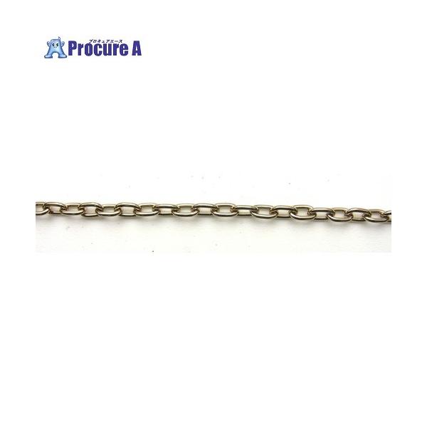 【送料都度見積】●使用荷重(kN)：0.05●A(mm)：6.6●B(mm)：2.8●線径(mm)：1.6