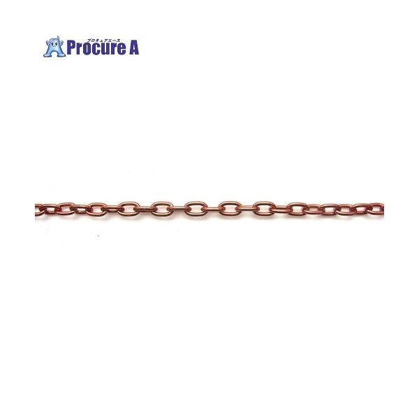 【送料都度見積】●使用荷重(kN)：0.05●A(mm)：6.6●B(mm)：2.8●線径(mm)：1.6