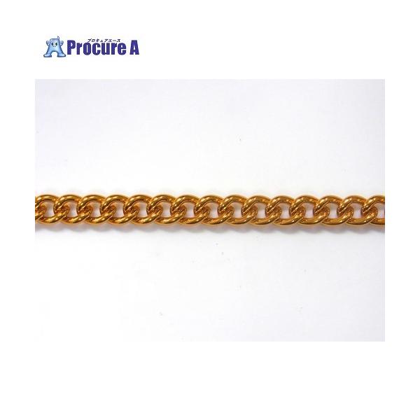 【送料都度見積】●全長(m)：30●線径d(mm)：2.5●内長P(mm)：7●内幅W(mm)：4●色：金●A(mm)：7●B(mm)：4●線径(mm)：2.5●参考使用荷重(kg)：6●破断荷重(kg)：17