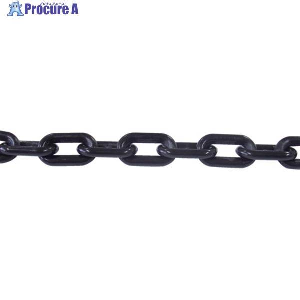 ●色：黒●径(mm)：6.0●長さ(m)：30●内長P(mm)：23.5●内幅W(mm)：7●線径d(mm)：6●