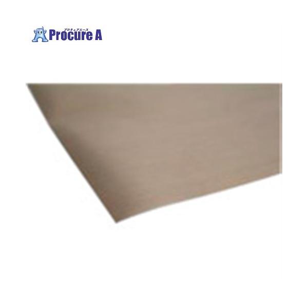 【送料都度見積】●品名：フローガラスシート(シート状)●厚さ(mm)：0.075●本体寸法(mm)奥行：250●本体寸法(mm)高さ：0.075●本体寸法(mm)幅：160