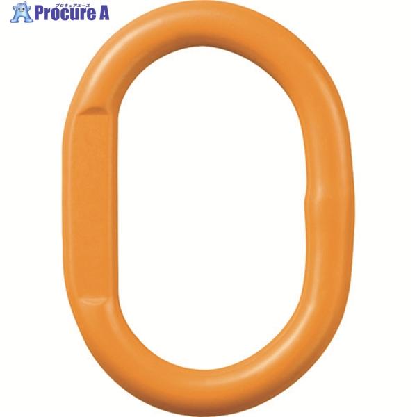 ●基本使用荷重(t)：2.4●チェーン線径(mm)：S：φ8、D：φ7、T・D：φ6●適合チェーン線径(mm)1本吊：8●適合チェーン線径(mm)2本吊：7●適合チェーン線径(mm)3/4本吊：6●タイプ：HMM●寸法(mm)a：60●寸法...