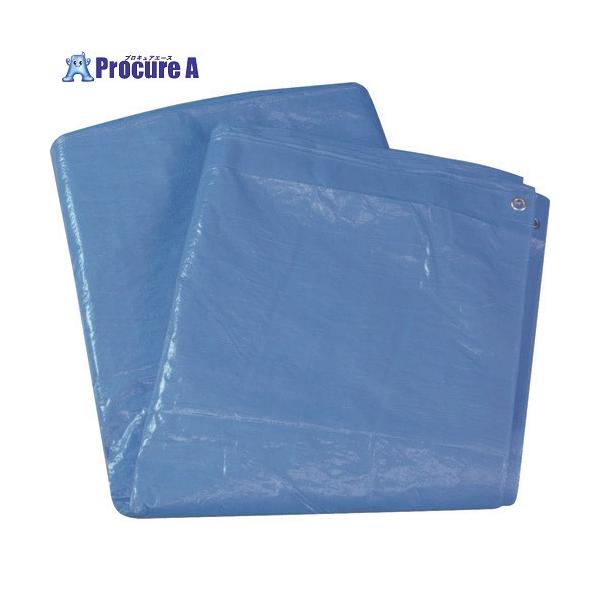 【送料都度見積】●幅(m)：3.6●長さ(m)：5.4●ハトメ数(個)：20●ハトメピッチ(cm)：90●色：ブルー●ハトメ内径(mm)：13