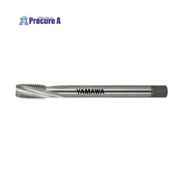 ●精度：P3●精度表記：P級●呼び寸法：M8●ピッチ(mm)：1.25●ねじ長さ(mm)：19●全長(mm)：100●シャンク径(mm)：6.2●シャンク四角部(mm)：5●下穴径(mm)：6.85●食い付山数：2.75山●加工ねじ：メート...