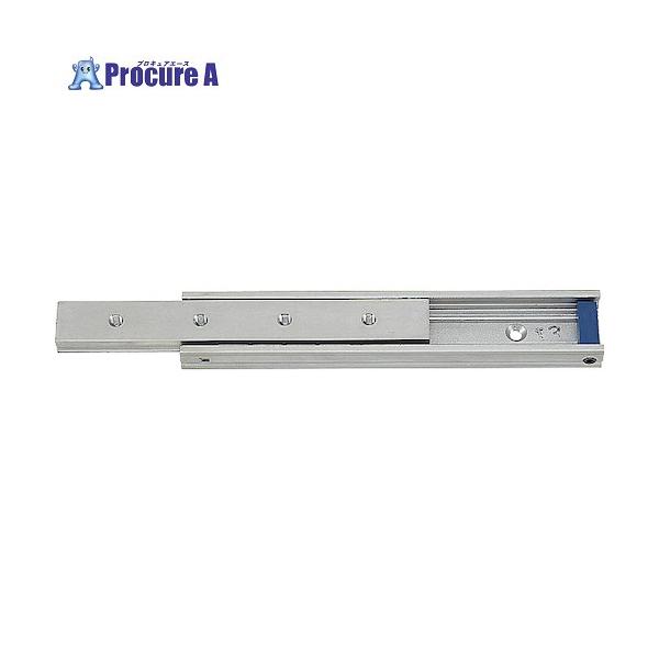 ※個人宅様送り不可 ●幅(mm)：21●高さ(mm)：45●長さ(mm)：250●定格荷重(N)ペア/垂直：3138/ペア(320kgf/ペア)