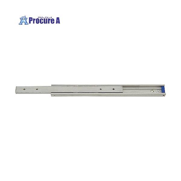 ※個人宅様送り不可 ●幅(mm)：21●高さ(mm)：45●長さ(mm)：450●定格荷重(N)ペア/垂直：2746/ペア(280kgf/ペア