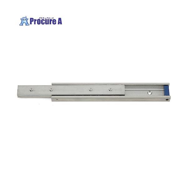 ※個人宅様送り不可 ●幅(mm)：21●高さ(mm)：45●長さ(mm)：300●定格荷重(N)ペア/垂直：3040/ペア(310kgf/ペア)