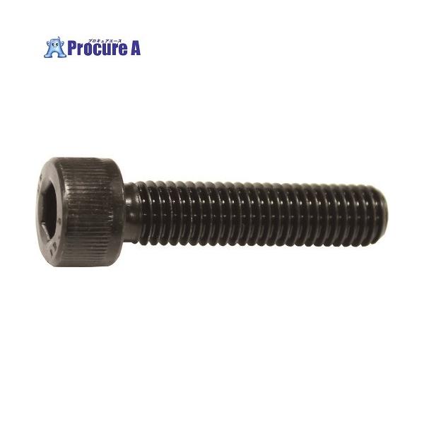 【送料都度見積】●寸法(mm)d：M22●寸法(mm)L：55●ねじピッチ(mm)：2.5●六角穴対辺寸法(mm)：17●頭部径(mm)：33●強度区分：10.9●六角穴深さ(mm)：11●ねじ長さ(mm)：55●タイプ：全ねじ●首下長(m...