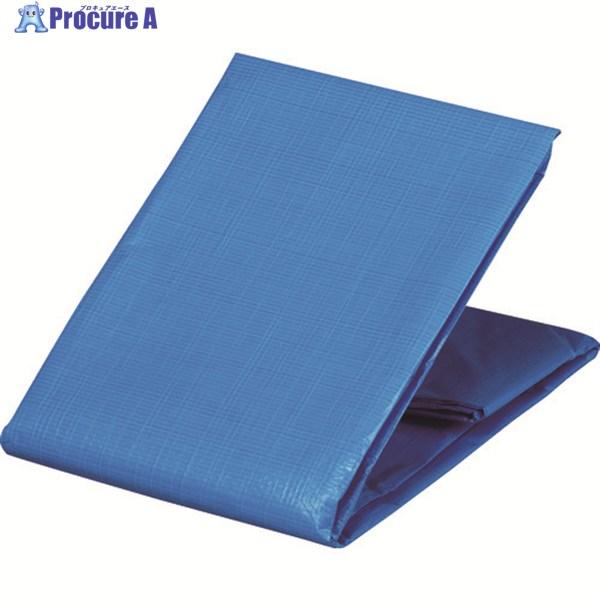 ●色：ブルー●幅(m)：2.7●長さ(m)：3.6●厚さ(mm)：0.19●ハトメ数(個)：14●ハトメピッチ(cm)：90●耐久期間：1年●引張強度：270 × 475●防炎性能試験番号：C2150021●ハトメ内径(mm)：12●番手(...