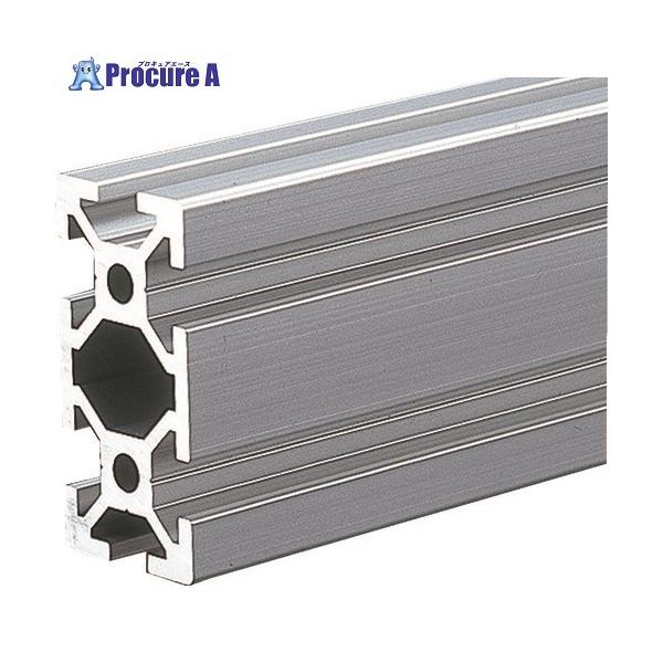 ●幅(mm)：20●高さ(mm)：40●長さ(mm)：400●Ｔ溝深さ（mm）：60