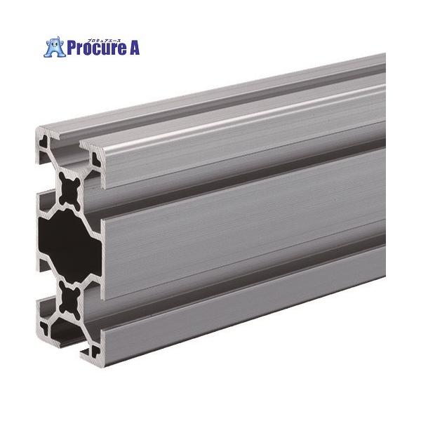 ●幅(mm)：30●高さ(mm)：60●長さ(mm)：1300