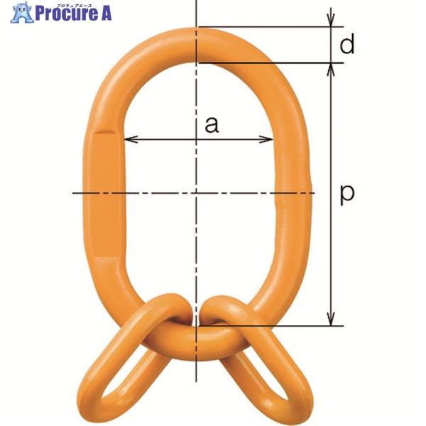 ●基本使用荷重(t)：2.8/3.8●チェーン線径(mm)：6/7●適合チェーン線径(mm)：6/7●タイプ：サブリンク付HMF●サブリンク寸法(mm)p1：60●サブリンク寸法(mm)a1：38●サブリンク寸法(mm)d1：13.5●マス...