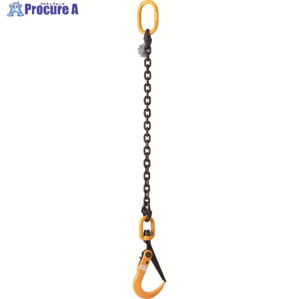 ●基本使用荷重(t)：2●チェーン線径(mm)：φ10●有効長l(m)：1.35●タイプ：スイベルタイプ●マスターリンク寸法(mm)a：75●マスターリンク寸法(mm)b：19●寸法(mm)C：105●寸法(mm)D：47●寸法(mm)H：...