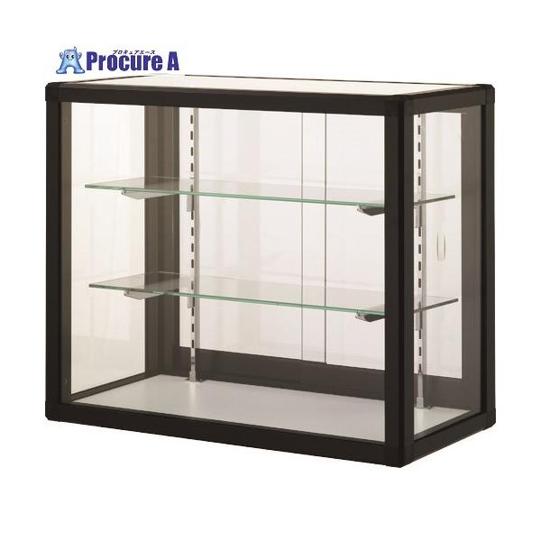 【送料都度見積】●間口(mm)：600●奥行(mm)：300●高さ(mm)：500●均等積載量(kg/段)：15●本体色：マットブラック●中板耐荷重(kg)：15●底板耐荷重(kg)：25●かぎ：プッシュ錠