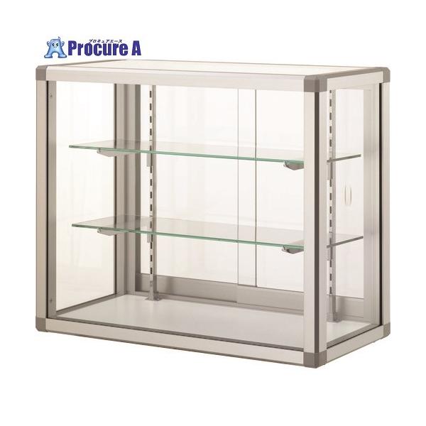 【送料都度見積】●間口(mm)：600●奥行(mm)：450●高さ(mm)：500●均等積載量(kg/段)：15●本体色：シルバー●中板耐荷重(kg)：15●底板耐荷重(kg)：25●かぎ：プッシュ錠