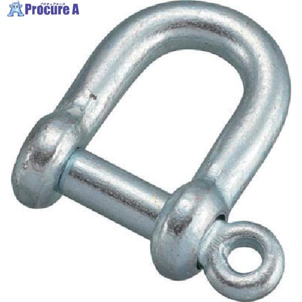 ●基本使用荷重(t)：0.12●使用荷重(kN)：1.17●ねじ径：W1/4●B(mm)：12●D(mm)：6●L(mm)：25●d(mm)：11●使用荷重(t)：0.12