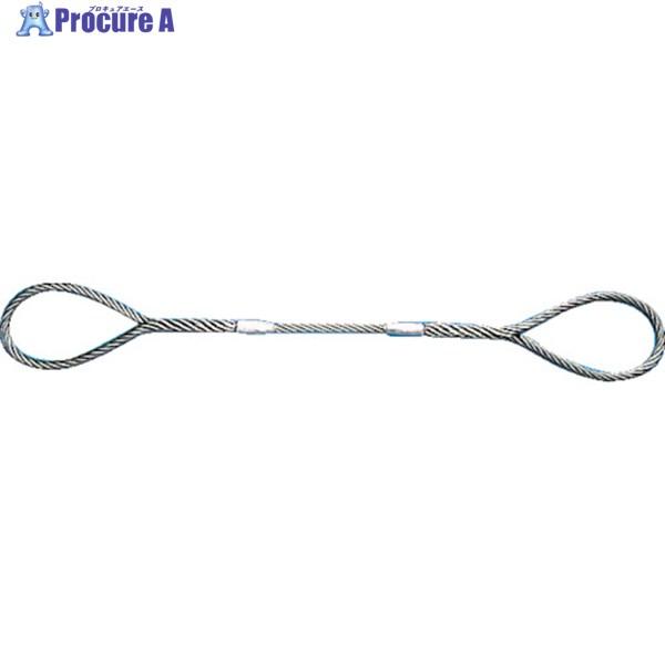 ●安全使用荷重2本垂直吊り(t)：1.26●全長(m)：2.5●スリング径(mm)：9●タイプ：A