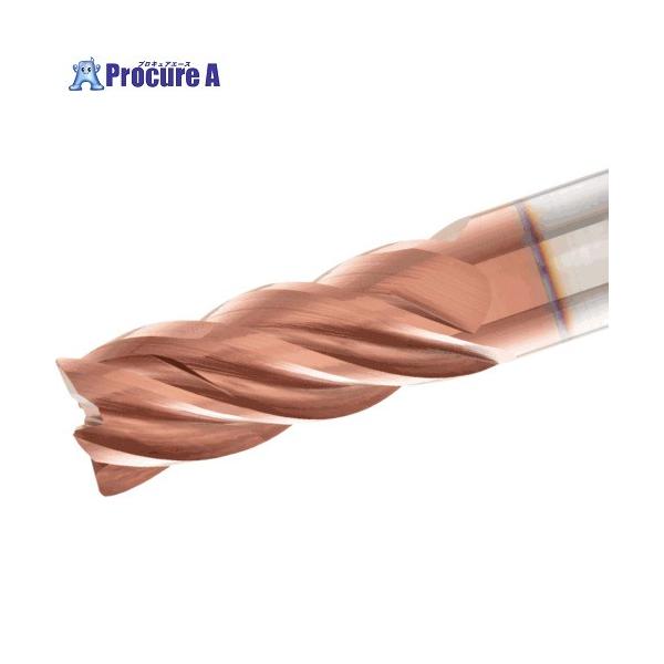 【送料都度見積】