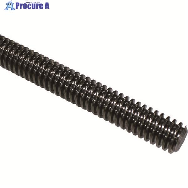 【代引決済不可】  ●リード(mm)：2●呼び径D1(mm)：TR10×2●全長(mm)：300