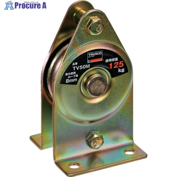 ●基本使用荷重(t)：0.125●最大使用ロープ径(mm)：8●車数：1●車径(mm)：50●寸法(mm)A：100●寸法(mm)B：58●寸法(mm)C：62●使用荷重(kg)：125●使用荷重(kN)：1.25●タイプ：縦型●シーブ軸受...