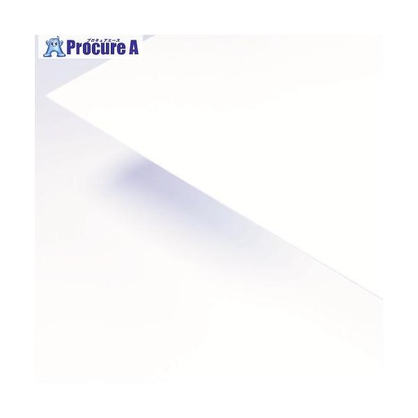 ●厚さ(mm)：1●色：白●外径(mm)：450●A(mm)：300