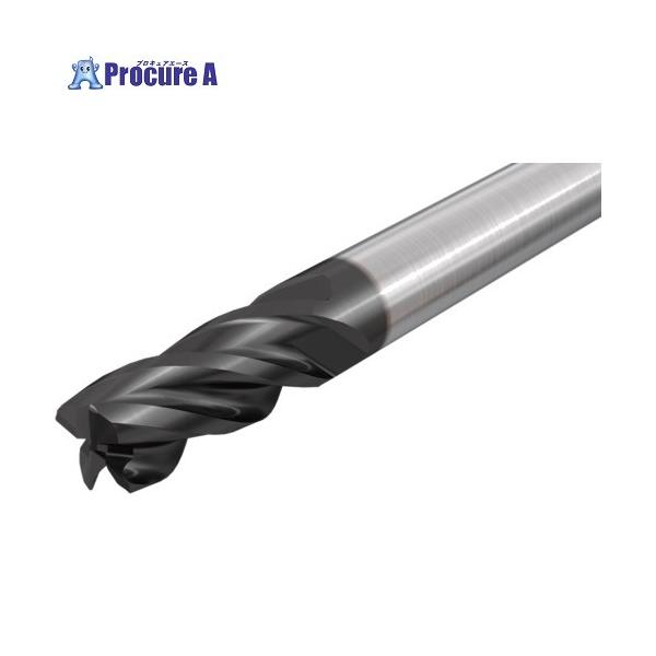 【送料都度見積】