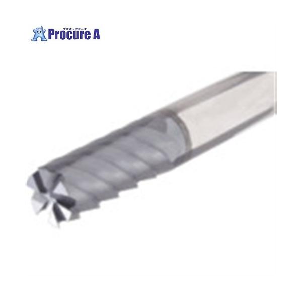 【送料都度見積】