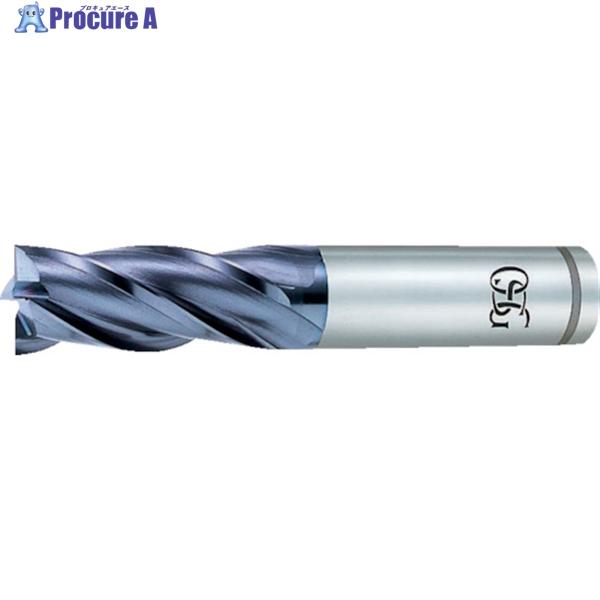 ●刃数ZEFP(枚)：4●切削径DC(mm)：17●最大切込みAPMX(mm)：40●機能長さLF(mm)：100●シャンク径DCON(mm)：16●ねじれ角FHA(°)：約30●コーティング：Vコーティング●シャンク径(mm)：16●ねじ...