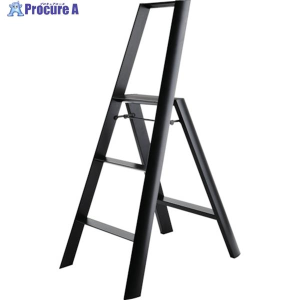 ●最大使用質量(kg)：100●天板高さ(m)：0.79●天板寸法(mm)：320×160●段数(段)：3●踏ざん踏面幅(mm)：70●色：ブラック●作業床高さ(m)：0.79